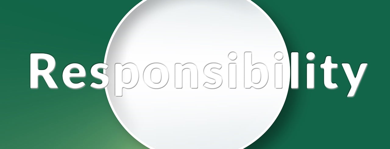 Personal Responsibility: 1 Solid Essay Worth Writing - Lee Barnathan ...